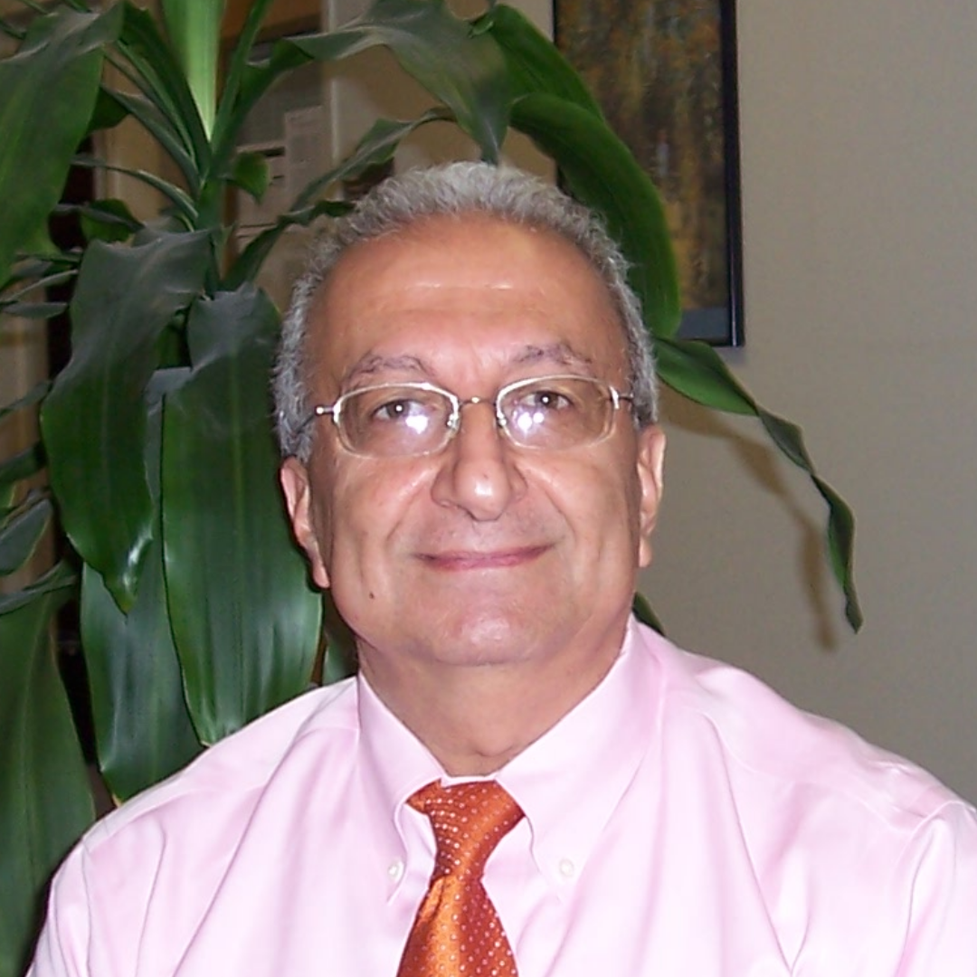 Committees – IEEE CDC 2023